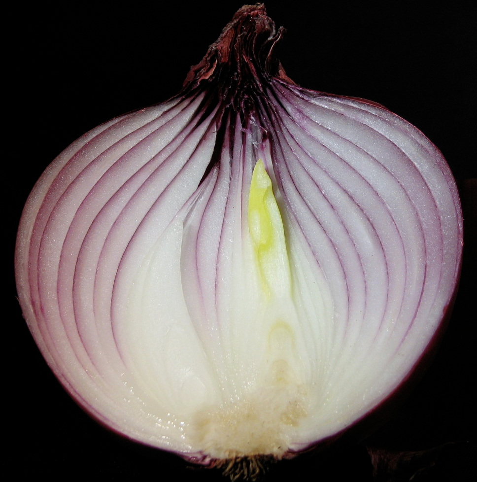 How to use homeopathic remedies| Classic Homeopathy